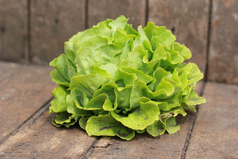 Blad- en vruchtgroenten – De Streekboer | Lokaal Eten