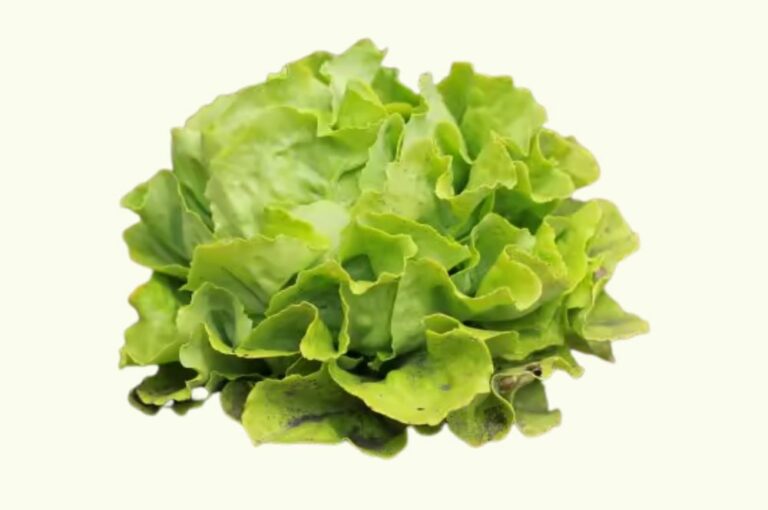 De Streekboer | Lokaal Eten