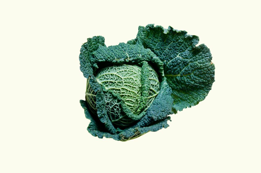 Kolen en knollen – De Streekboer | Lokaal Eten